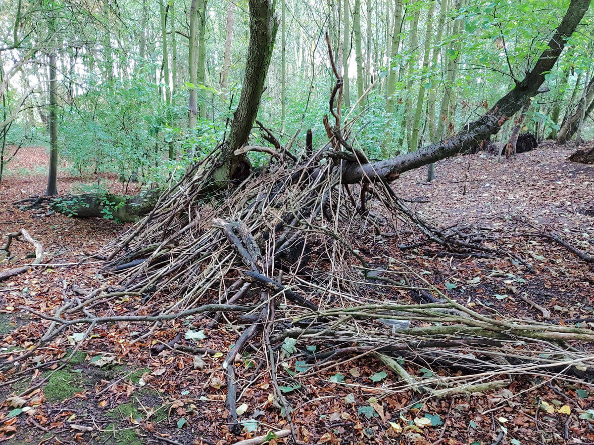 Blogtober 2021 : Day 8 – Winwick Mum