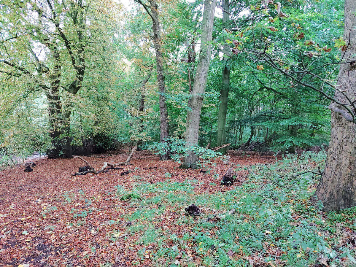 Blogtober 2021 : Day 8 – Winwick Mum