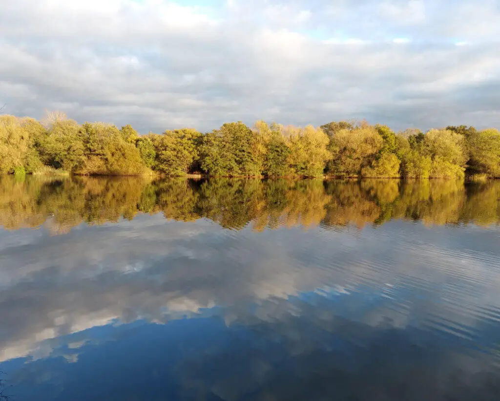 Monthly Musing - November 2022 - Best friends – Winwick Mum