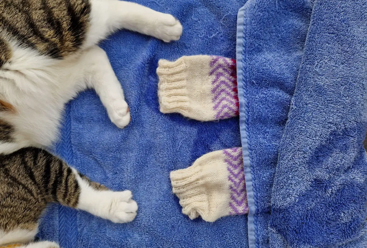 Blocking socks with sock blockers – Winwick Mum