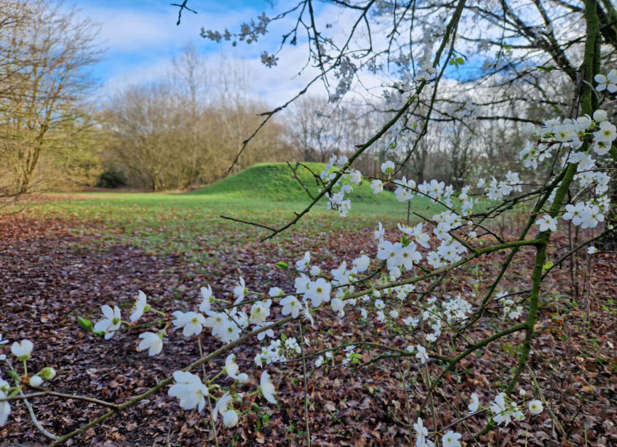 Spring is ... springing! – Winwick Mum