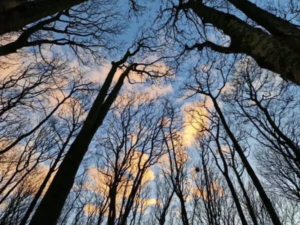 Midwinter – Winwick Mum