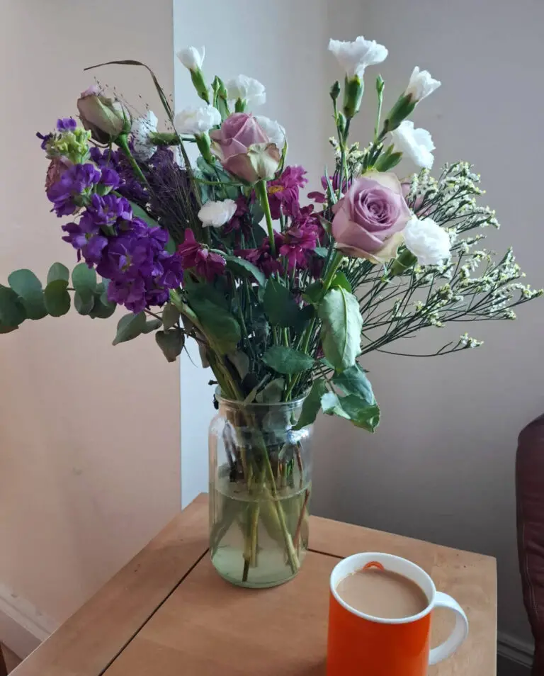 Winter Haven KAL 2025 - Week 1 – Winwick Mum